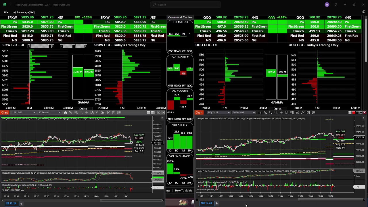 HedgePulse - REAL-TIME GEX Levels - 10/29 Stream with NinjaTrader ...