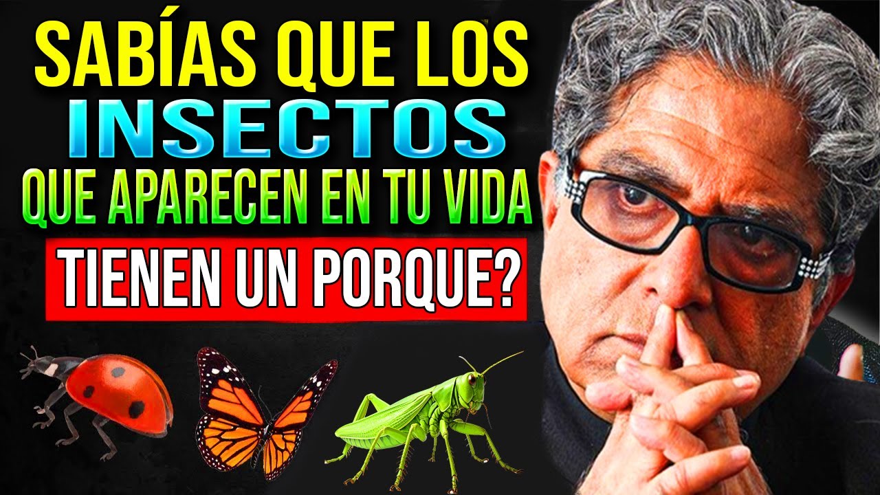 ¿Sabías que los INSECTOS que aparecen en tu hogar tienen significado? 🐞 ...