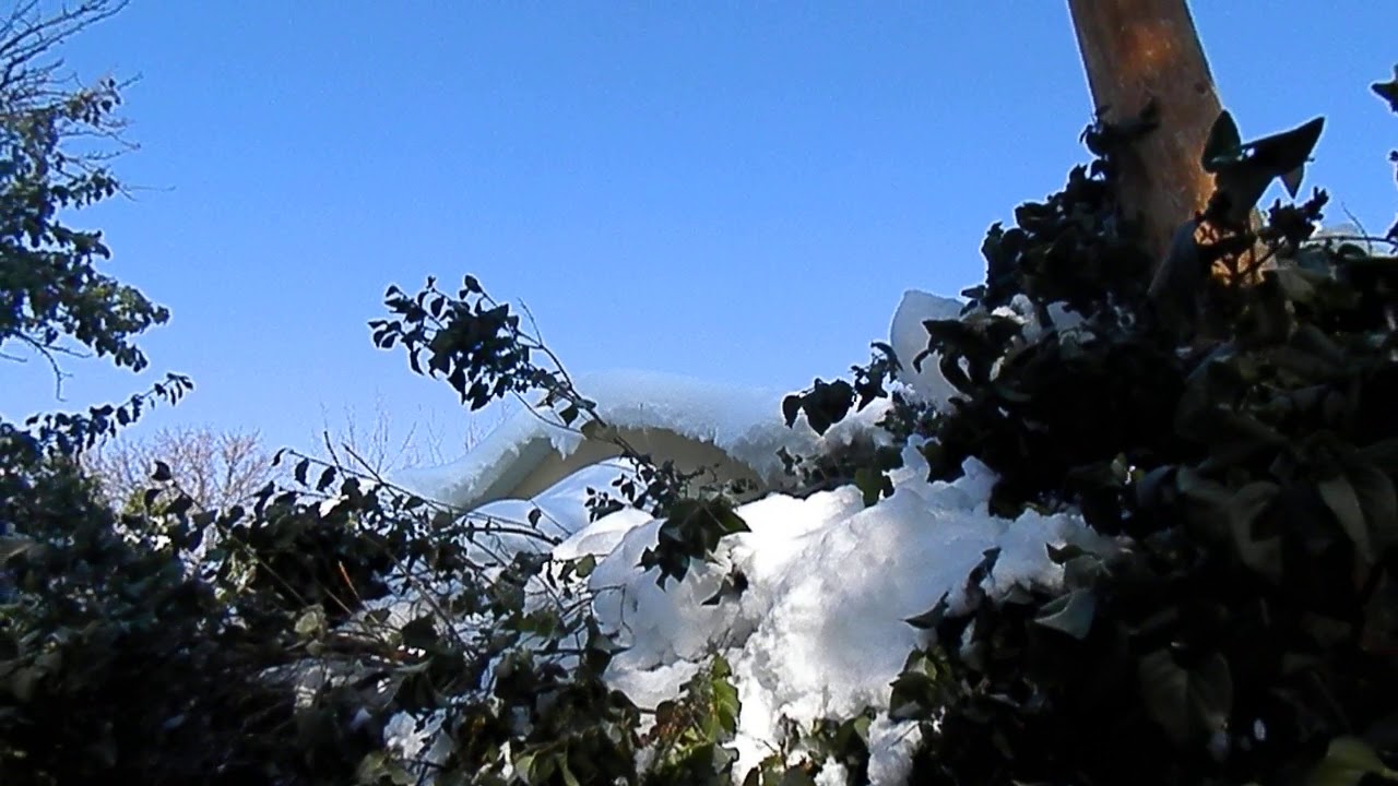 October 1, 2019 Snow storm. - YouTube