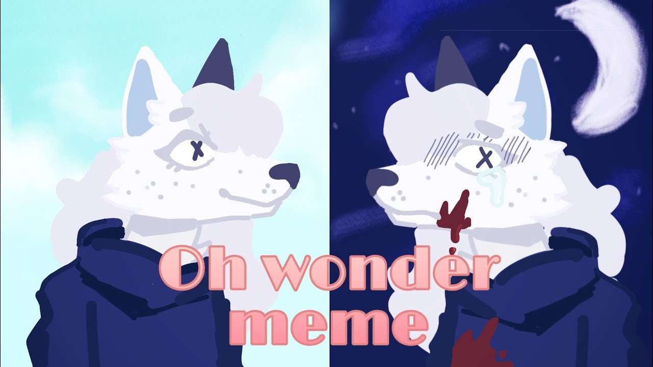 Oh wonder meme animation ☆ - YouTube