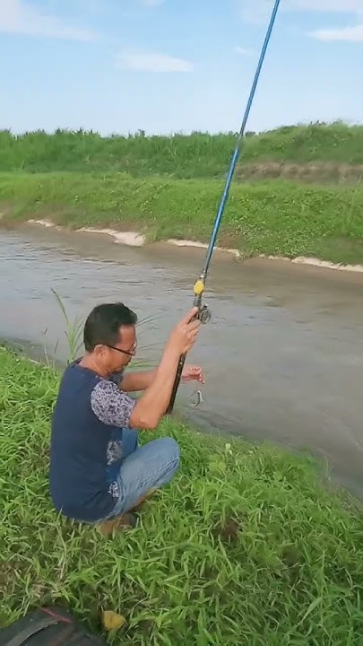 jatuh umpan langsung di sambar #shorts mancing sungai - YouTube