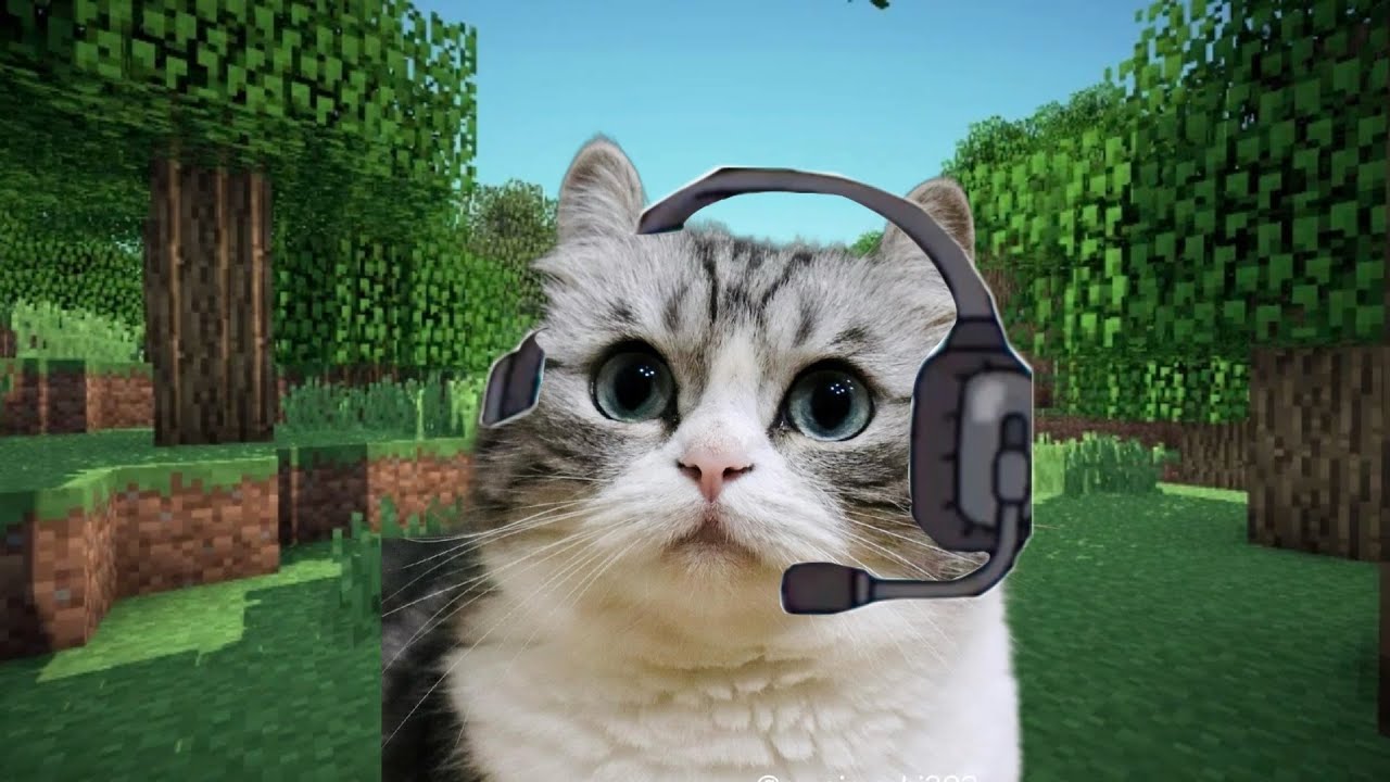 Комару играет в майнкрафт - YouTube