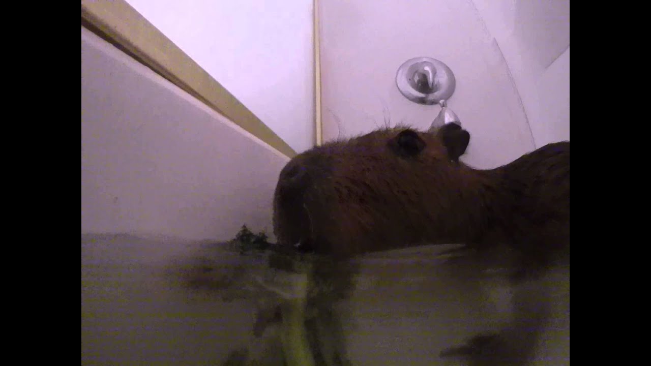 Underwater eating - YouTube