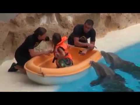 Rare Delfin Skills - YouTube