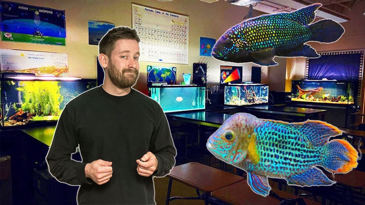 High School Classroom FULL of AQUARIUMS! - YouTube