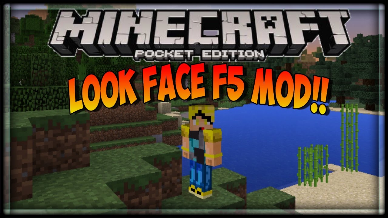 F5 LOOK FACE Mod Para Minecraft PE 0.14.0 | Mods Para Minecraft PE 0.14 ...