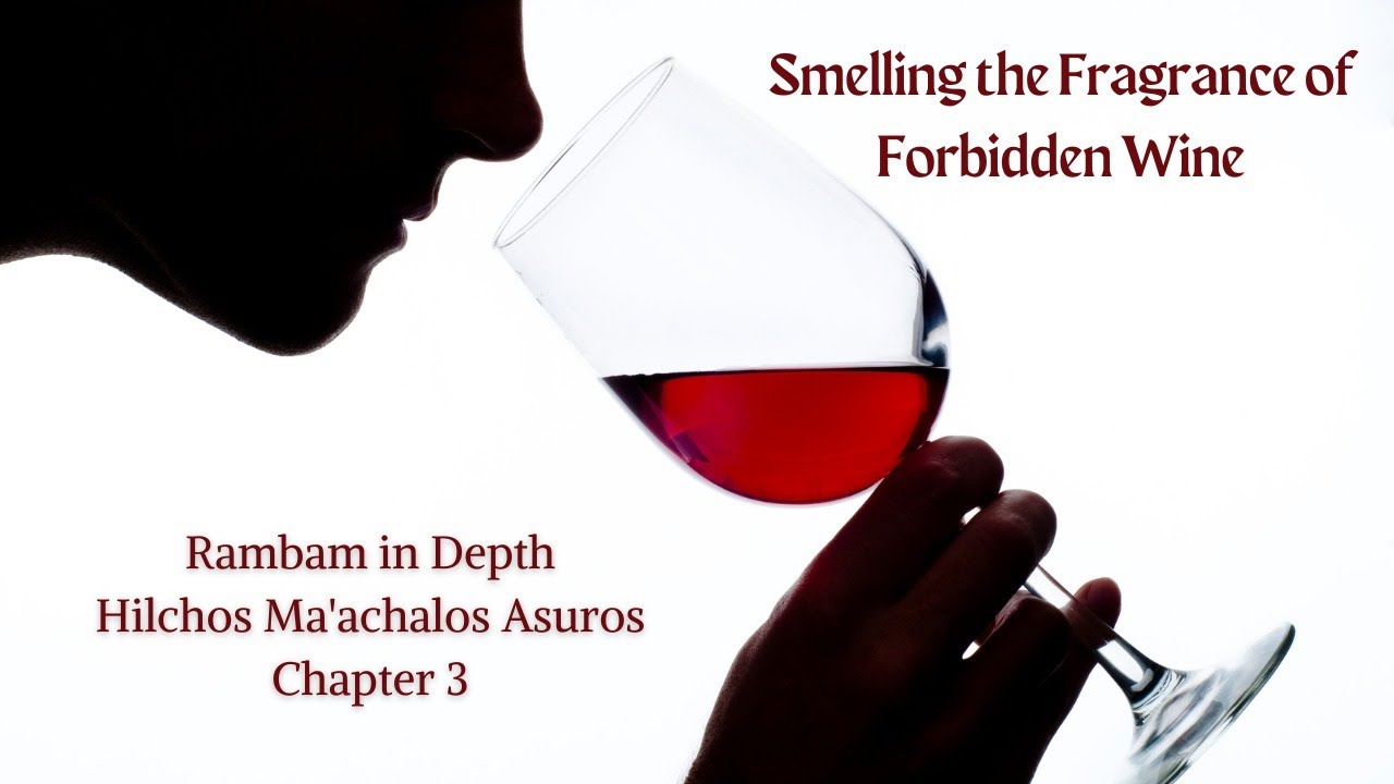 Rambam In-Depth: Smelling the Fragrance of Forbidden Wine - YouTube