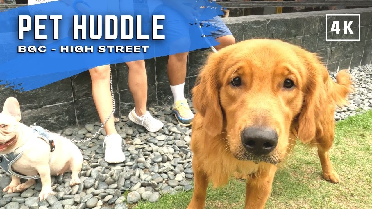 Pet Huddle May 2022 in BGC High Street | Pet Events | Taguig City ...