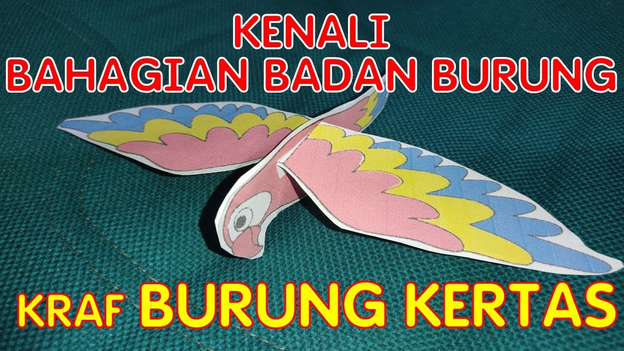 KENALI BAHAGIAN BADAN BURUNG DAN MEMBUAT KRAF BURUNG - YouTube