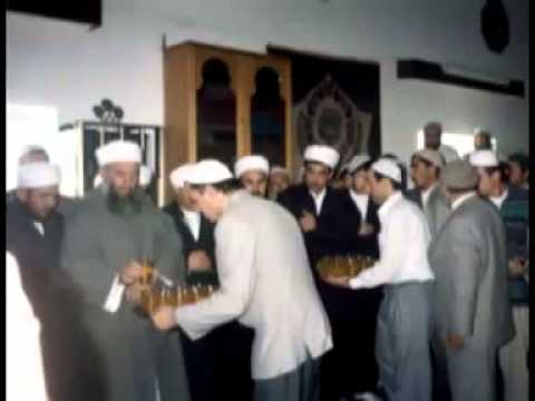 Gavs  sani