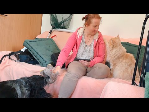 My home video. My big cat. My life in Montenegro. Mila Naturist.