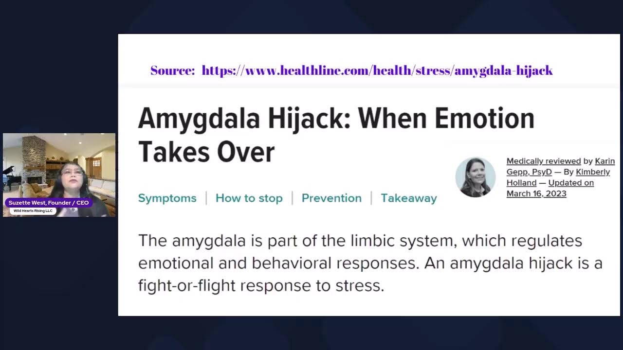 Basic Brain Info Clarification: The Pre-frontal Cortex, Amygdala, and ...