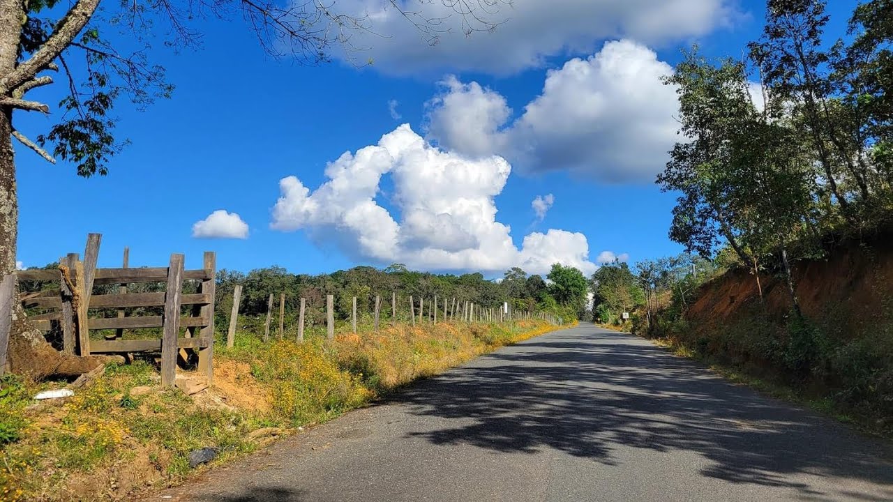 Puro tierra caliente 🥵 guaches y guachas - YouTube