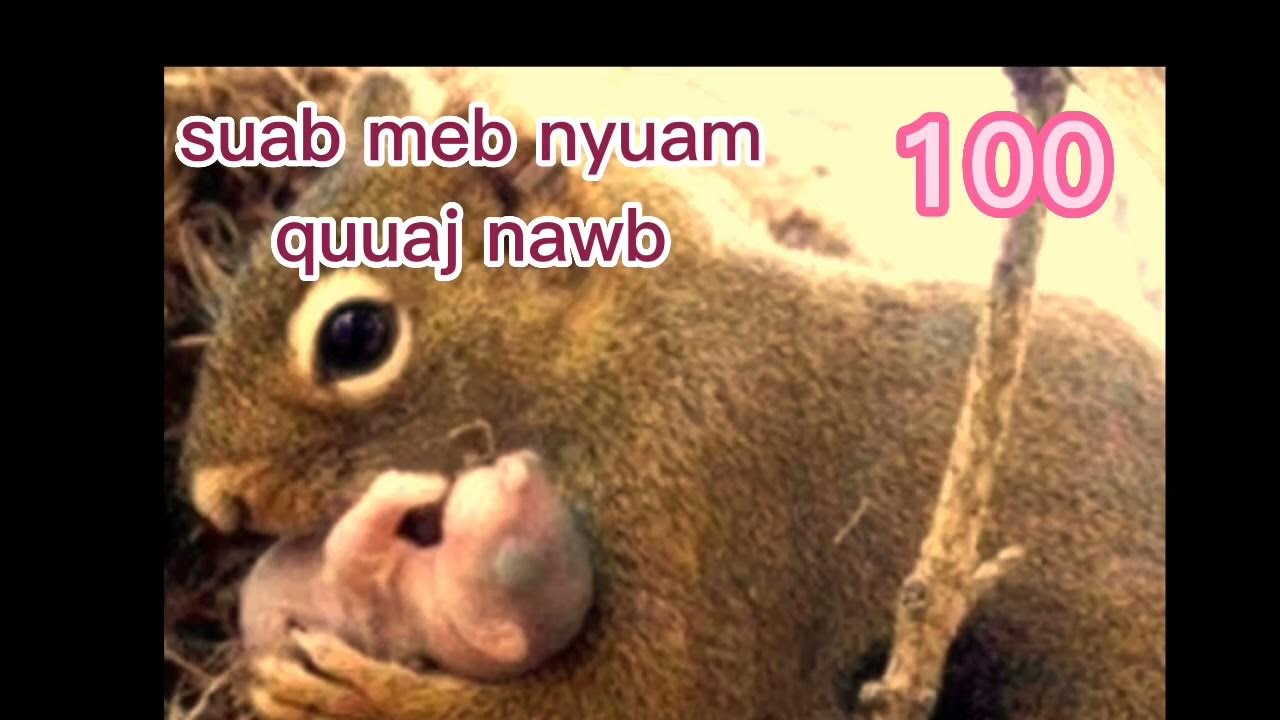 suab me nyuam na quaj - YouTube