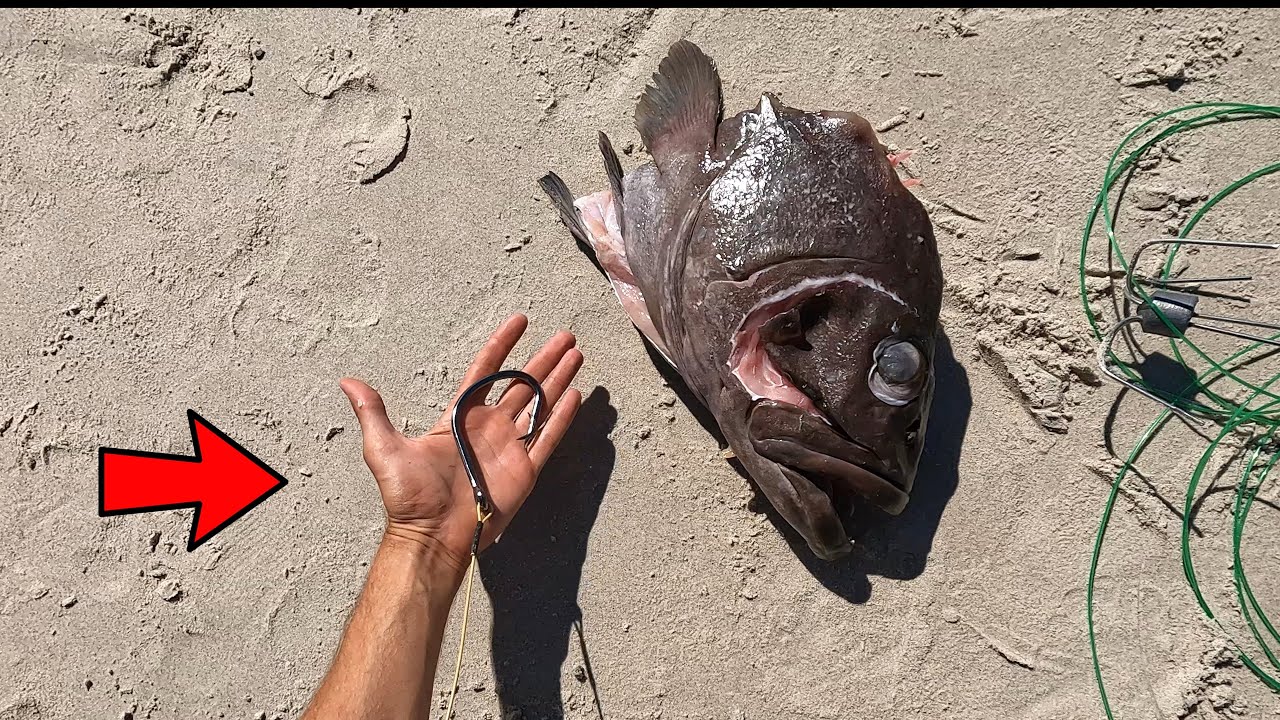 What happens when you use THIS for bait?? (AMAZING) - YouTube