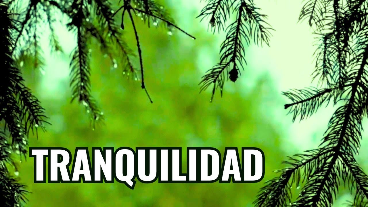 Lluvia Tranquila para Dormir Bien | LLUVIA 3 Horas para DORMIR - YouTube