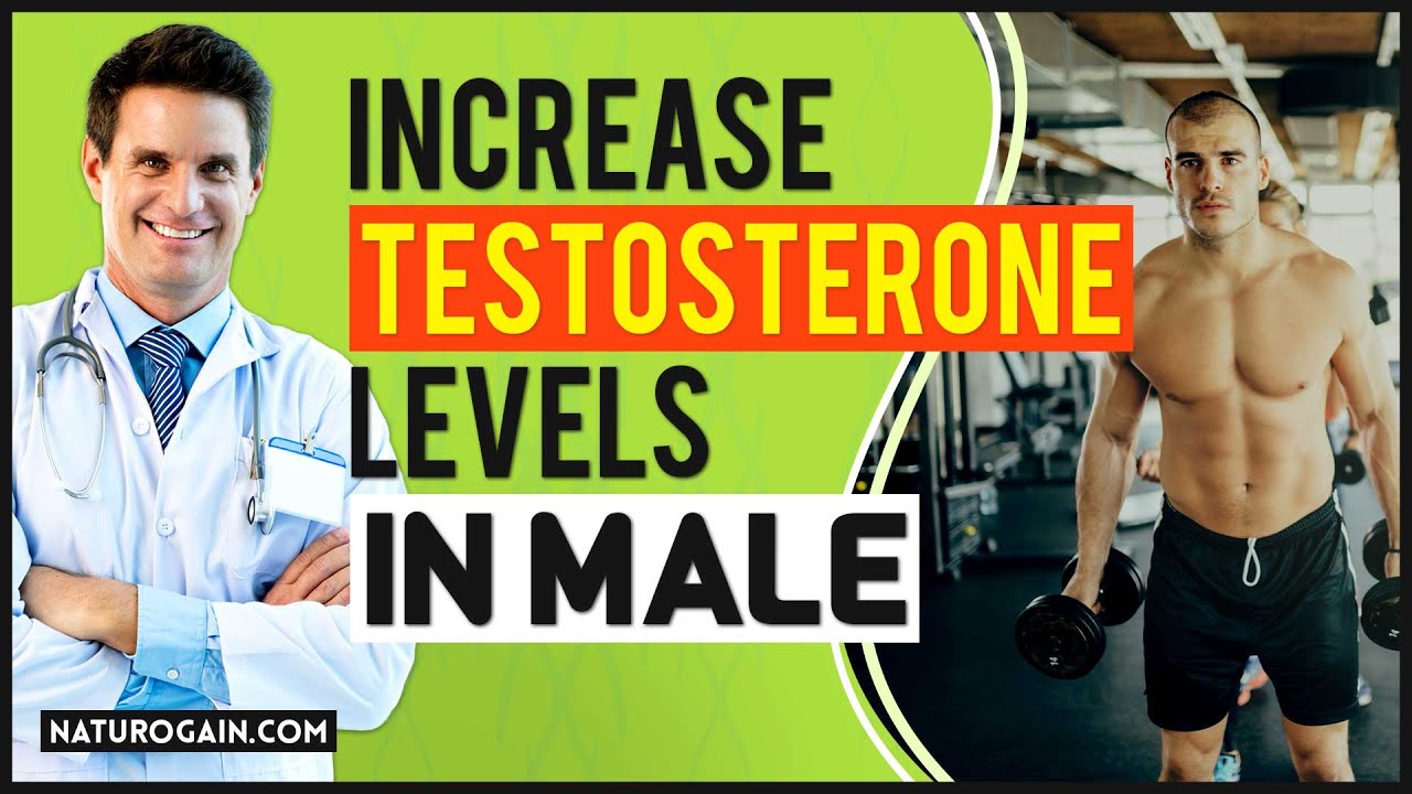 How to Increase Testosterone Levels in Male Body Fast Naturally? - YouTube