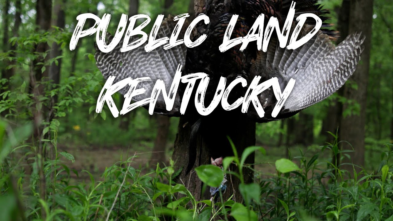 Beau Hunting- "Self Filming on Kentucky Public Land 2023" (I shot a log ...
