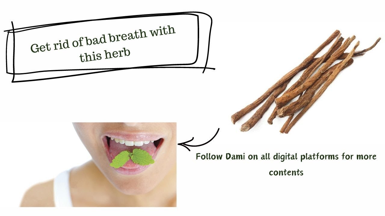 HOME/HERBAL REMEDY FOR BAD BREATH - ORIN ATA - YouTube