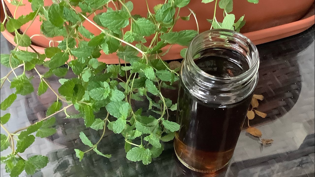 DIY Clove and Mint Mouthwash: Make it easily at home - YouTube