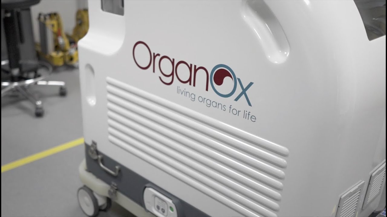 OrganOx Customer Success Story | SAP Business One - YouTube