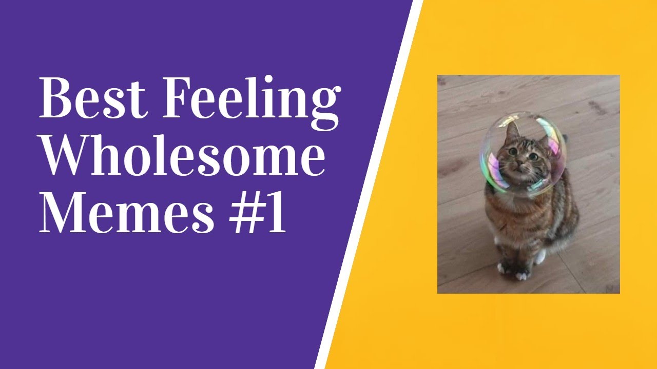 Best Feeling Wholesome Memes #1 - Feel Good Memes Collection 2019 - YouTube