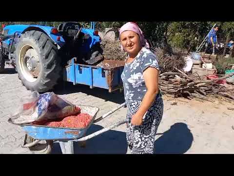 Çalısıverin gari doğal hayat - Köyde Hayatı