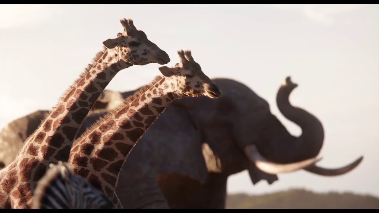 The Lion King Movie Clip - Circle of Life (2019) - YouTube