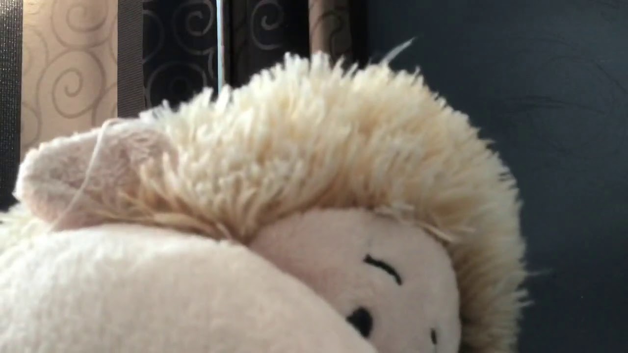 Monkey and sheep the movie - YouTube