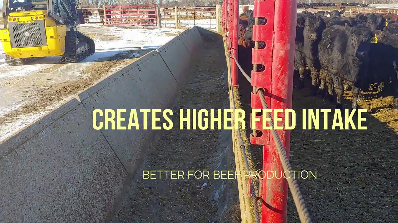 Bunk Sweep by Peer Built - YouTube