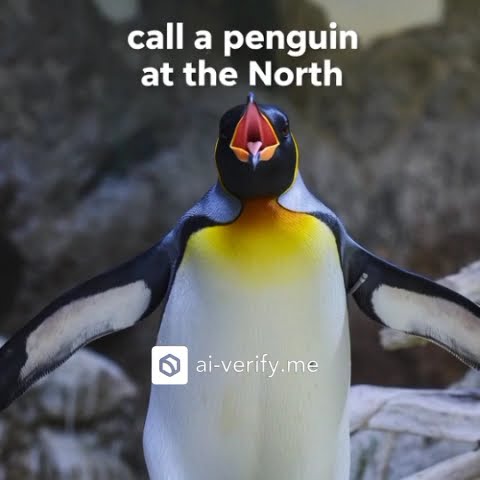 punchy the penguin comedy #funny #penguin #ai #comedy - YouTube