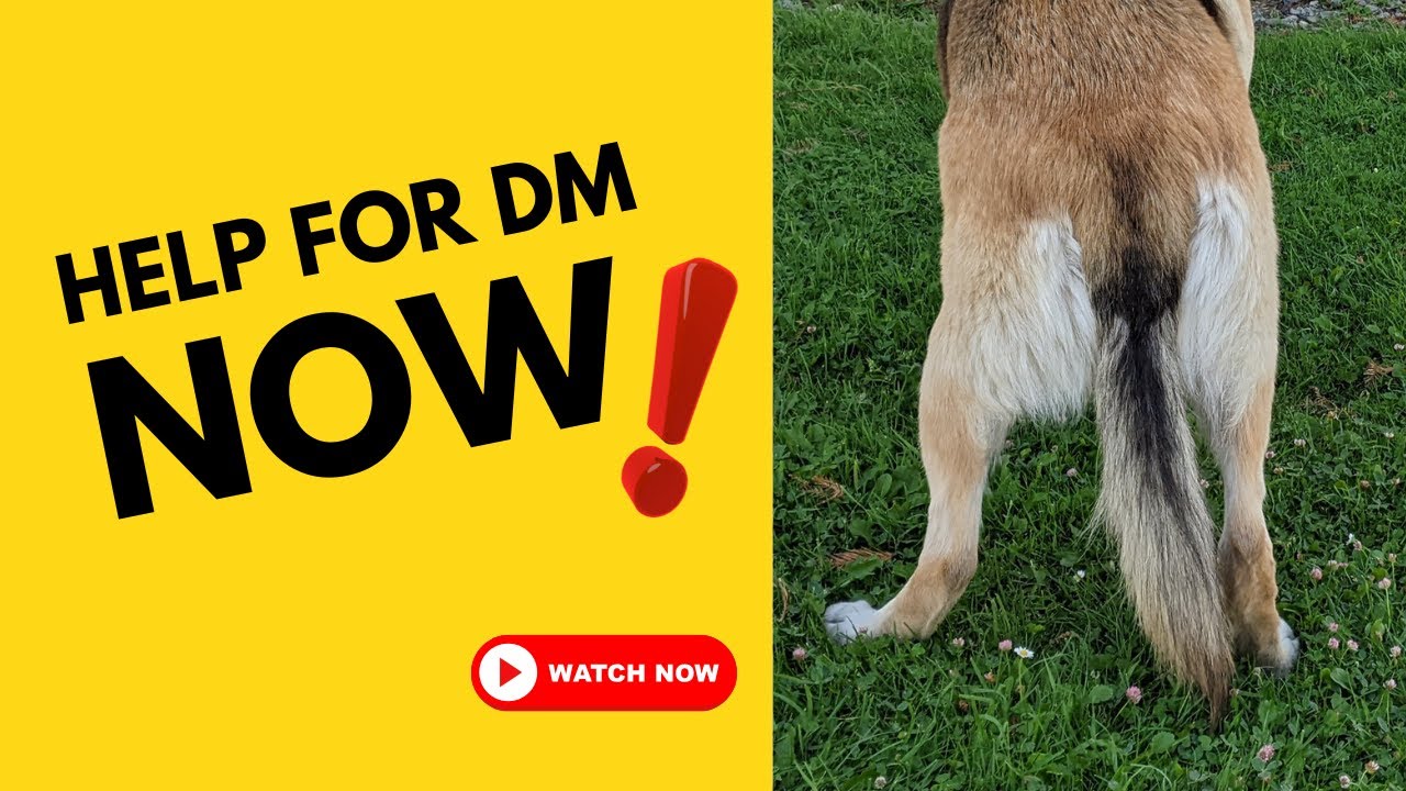 Staying Stronger, Longer With DM Therapy/What The Pro's/ And You Too ...