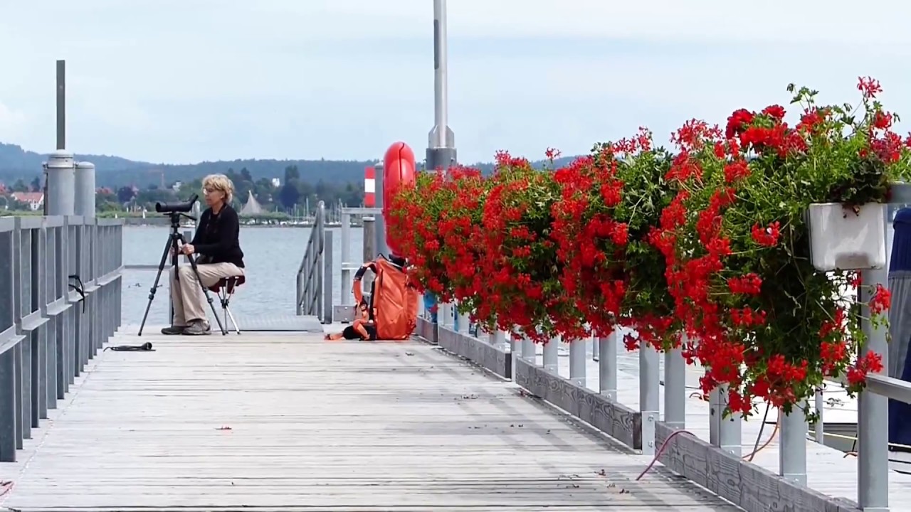 Moos - BodenSee - F- 255 - HD - YouTube