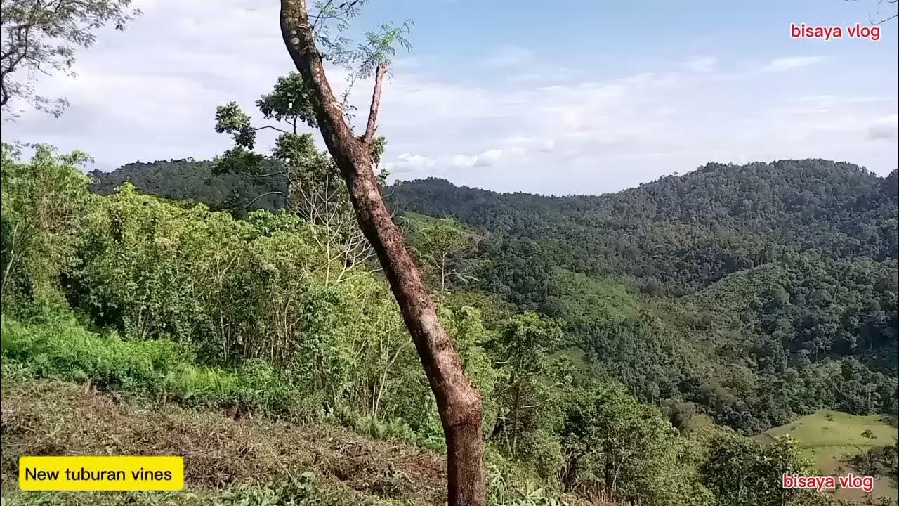 ka buang 😀 - YouTube