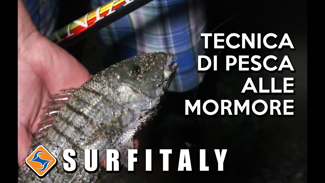 Tecnica di pesca alle mormore dalla spiaggia - YouTube