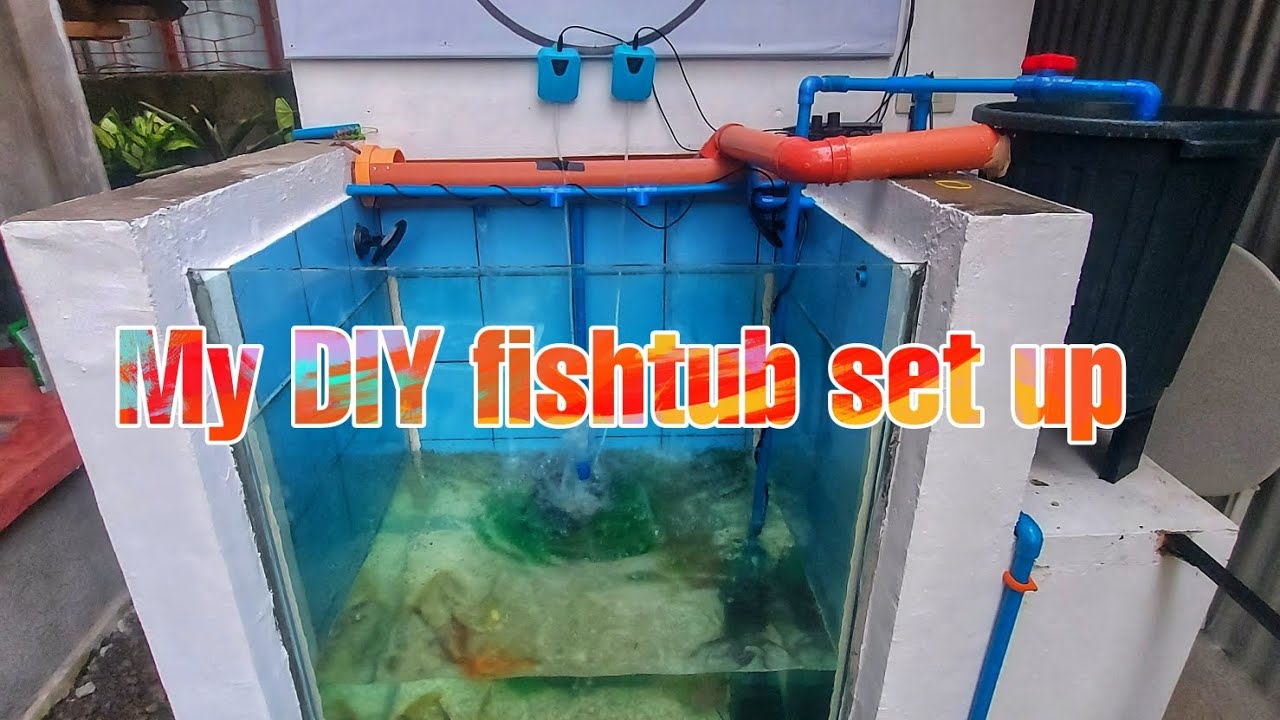 DIY fishtub set up - YouTube