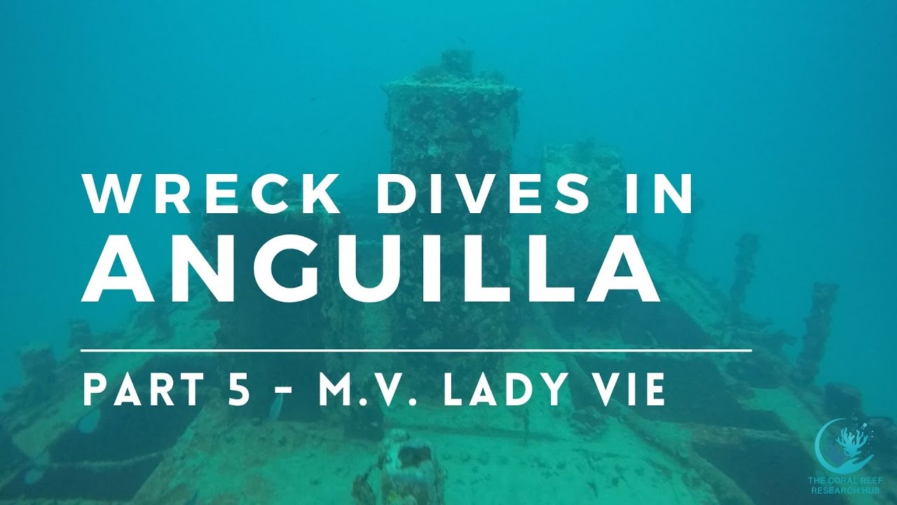 Wreck Dives In Anguilla Lady Vie Artificial Coral Reef Caribbean Ship ...