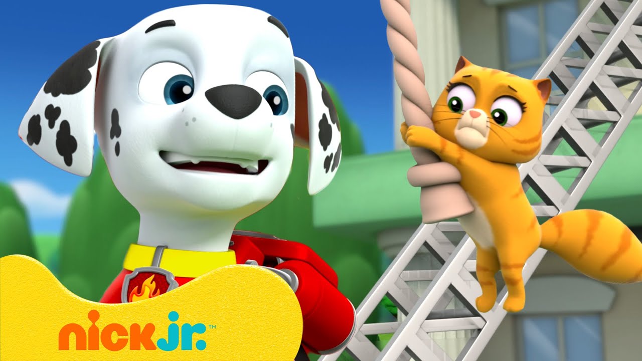 PAW Patrol Rescues Cats & Kittens in Adventure Bay! 🐱🐈 w/ Marshall ...