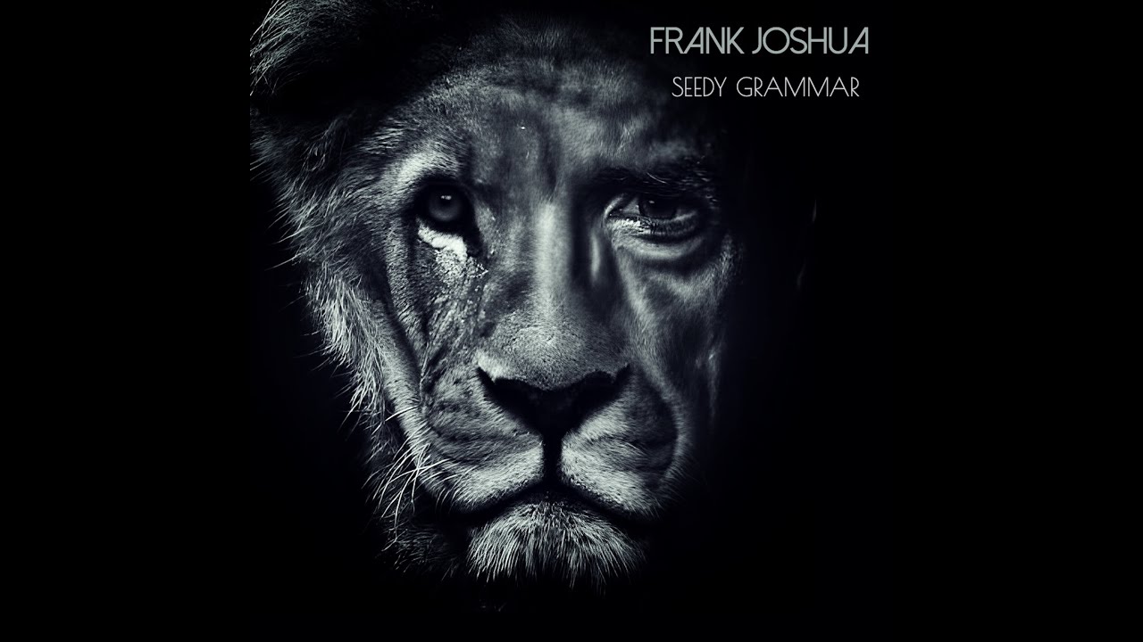 Seedy Grammar // Frank Joshua // Music Video - YouTube