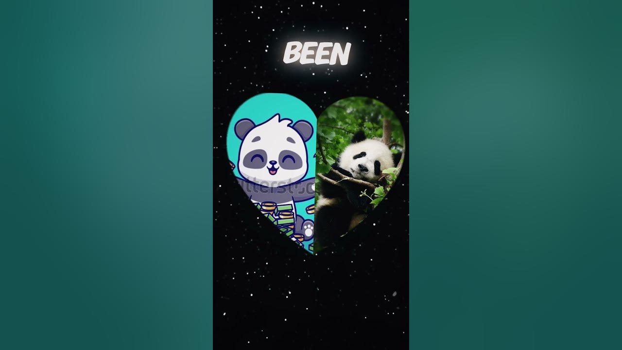 *PANDA&PANDA* - YouTube