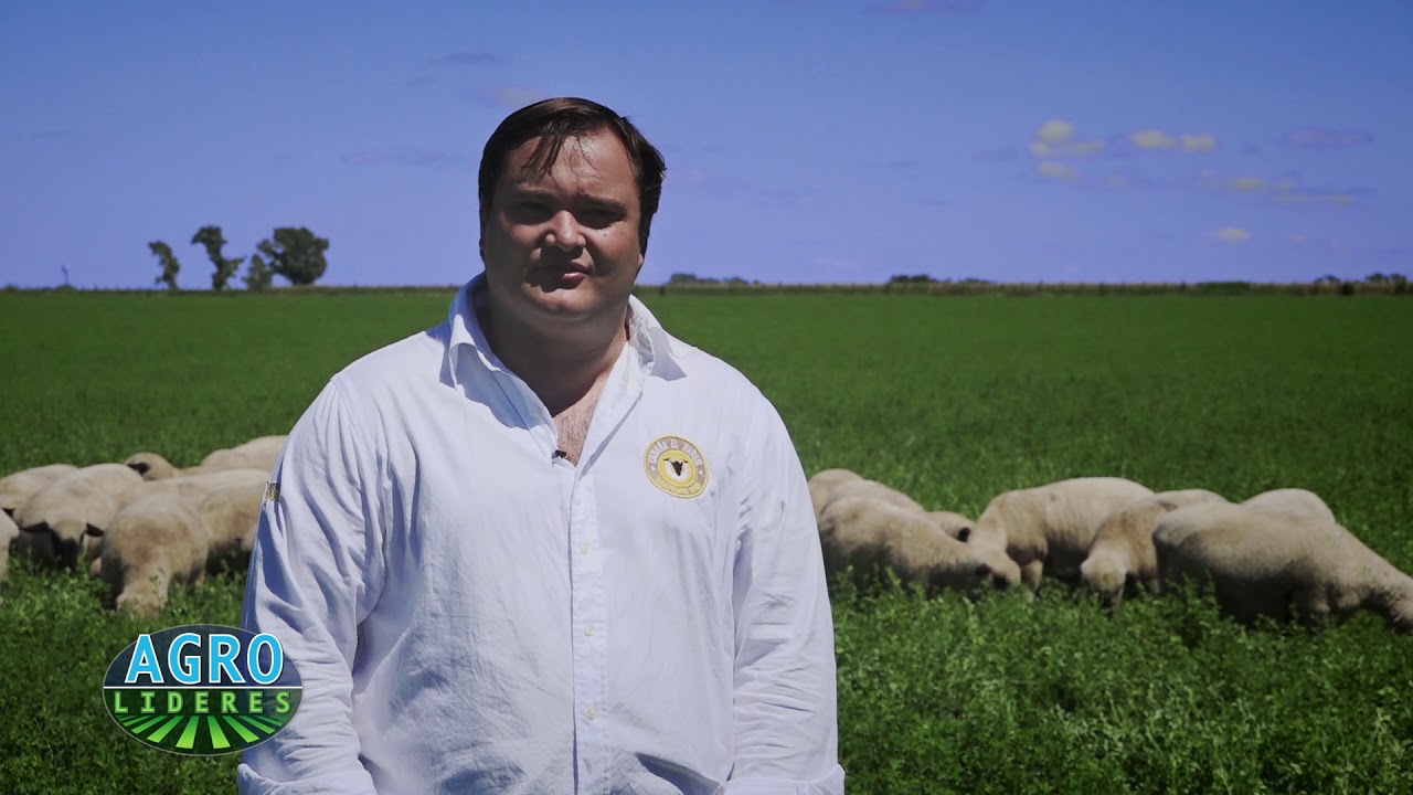 AGROLIDERES N°98 - Carlos Laborde - YouTube
