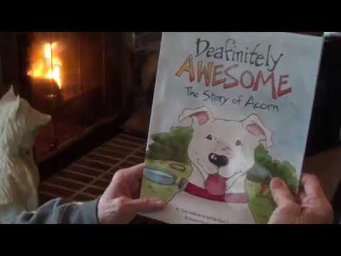 Deafinitely Awesome - The Story of Acorn book reading - YouTube