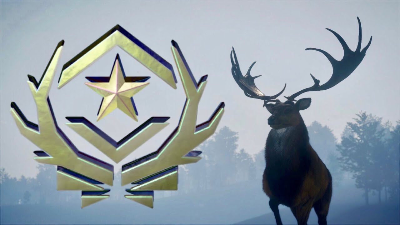 HUNTING DOWN MY THIRD GREAT ONE FALLOW DEER TO COMPLETE THE HUDDLE ...