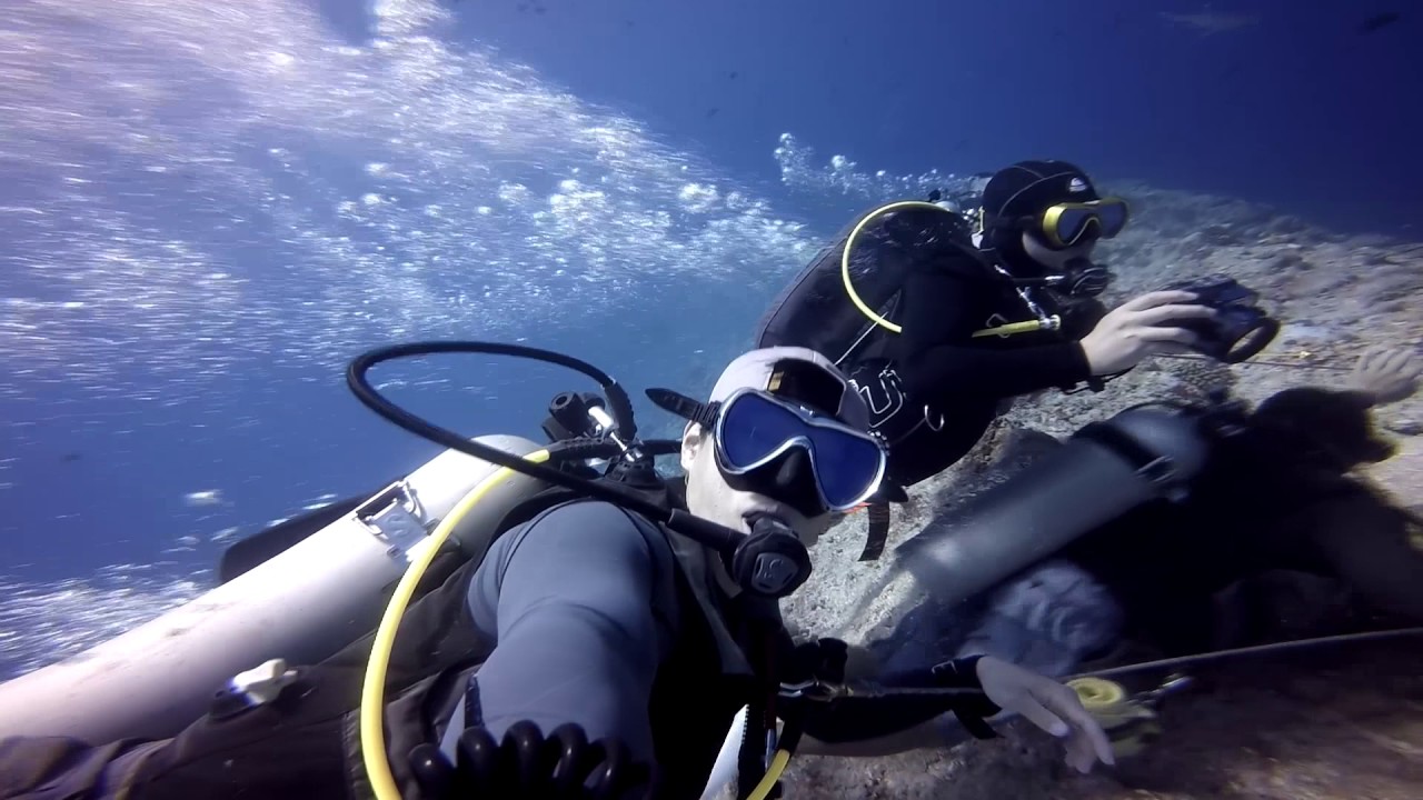 Palau diving - YouTube