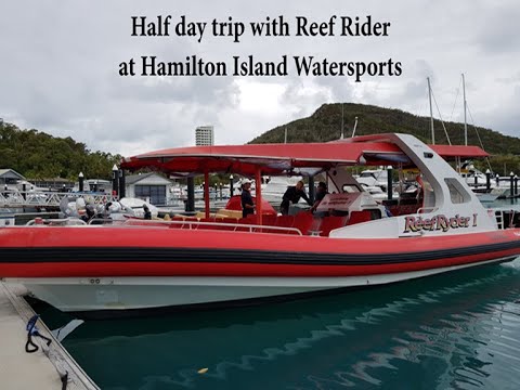 Half day snorkelling trip with Reef Ryder - YouTube
