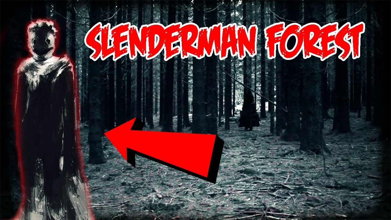 I WENT SEARCHING FOR SLENDERMAN IN SLENDERMAN FOREST BUT SOMETHING ELSE ...