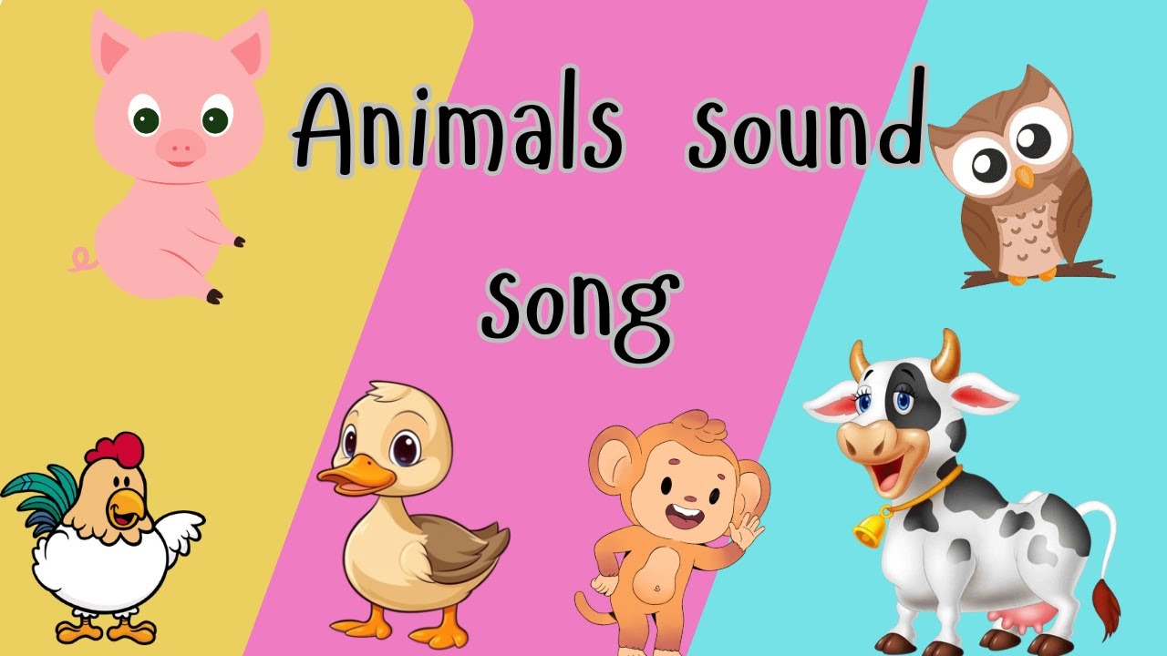 Animal and their sounds |Animal sounds song : Learn Animals sounds for ...