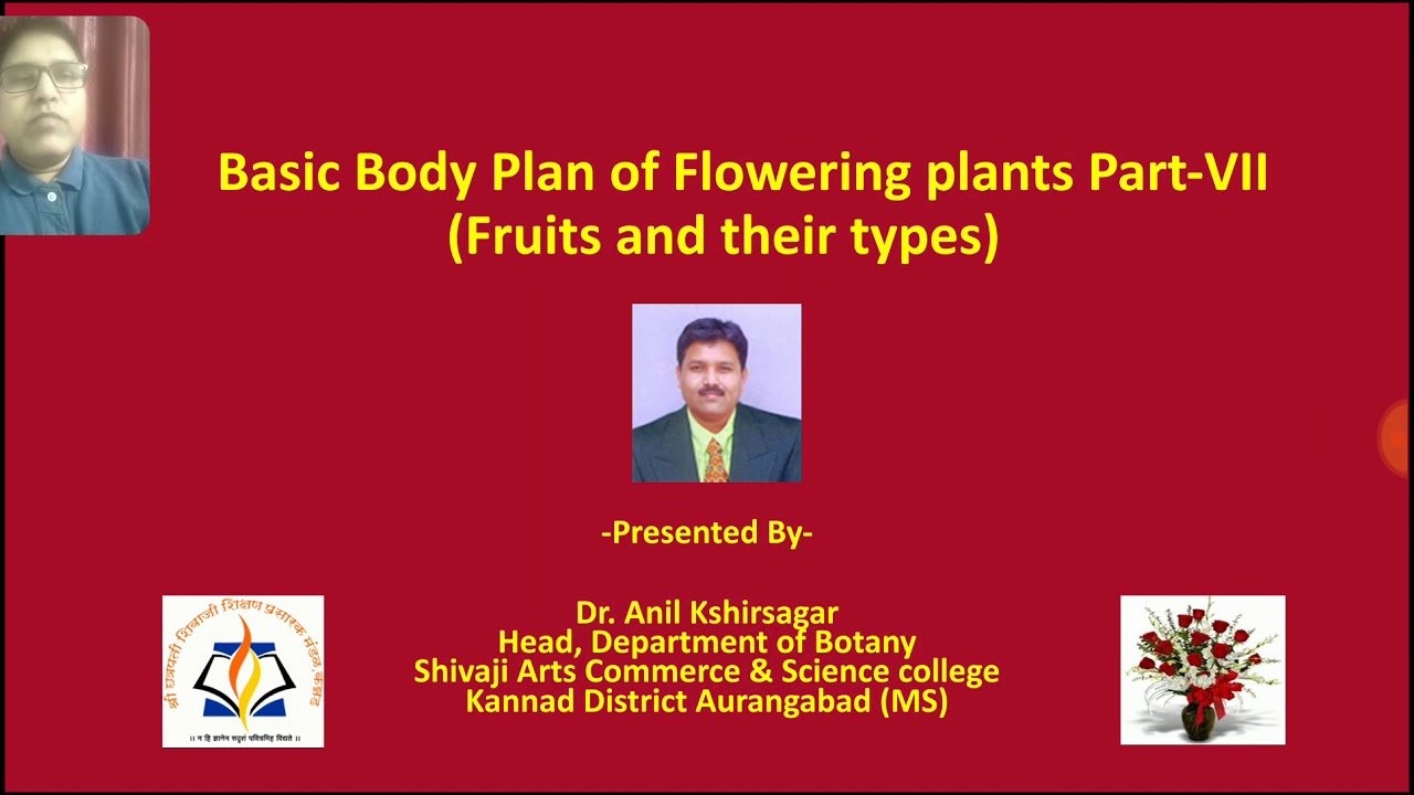 Basic Body Plan of Flowering Plants Part-VII - YouTube