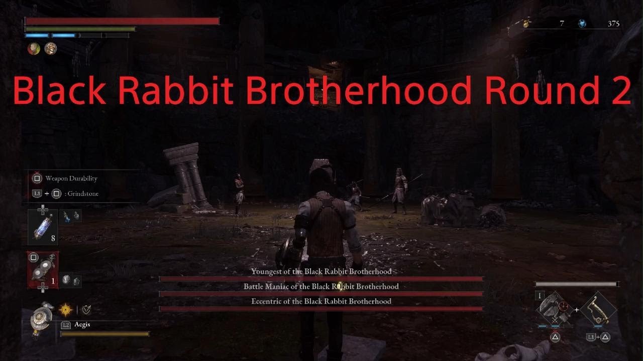 Black Rabbit Brotherhood 2nd Fight | Lies of P - YouTube