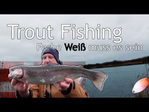 Forellen Angeln in Dänemark bei Lodbjerg Hede